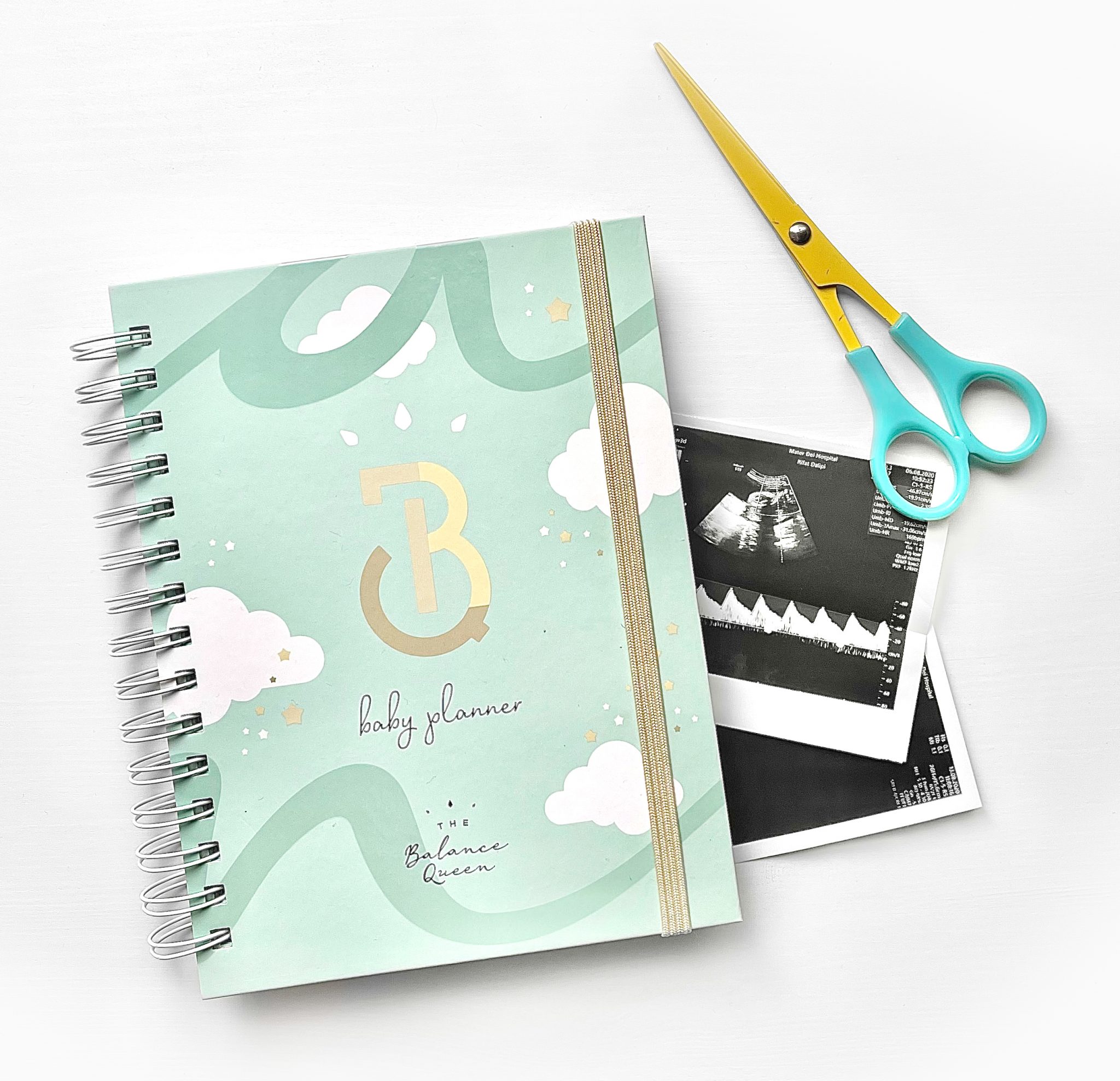 BABY PLANNER – The Balance Queen